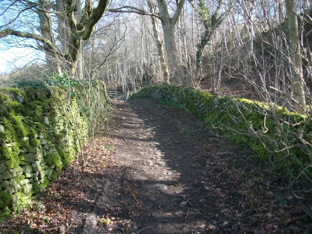 The story of the lane – The Old Roads of Derbyshire